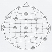 EEG Electrode Cap Kit – OpenBCI Shop