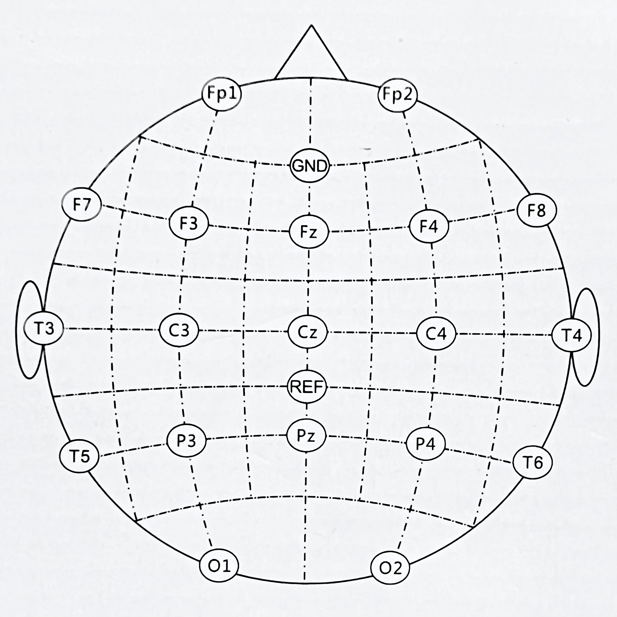 EEG Electrode Cap Kit – OpenBCI Shop
