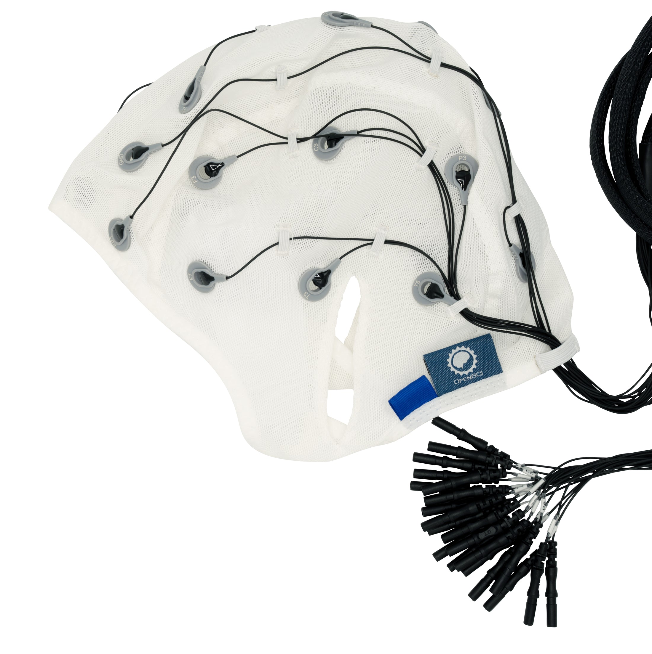 EEG Electrode Cap Kit – OpenBCI Online Store